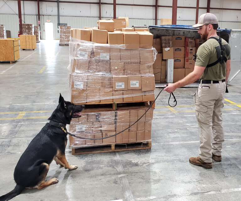 Global K9 Solutions – Canine and Handler Training and Deployment